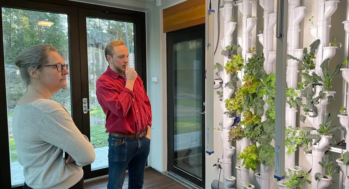 Hydroponisk odling | studier.se