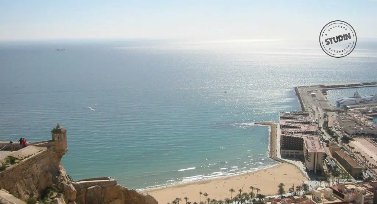 Studera i Alicante | studier.se